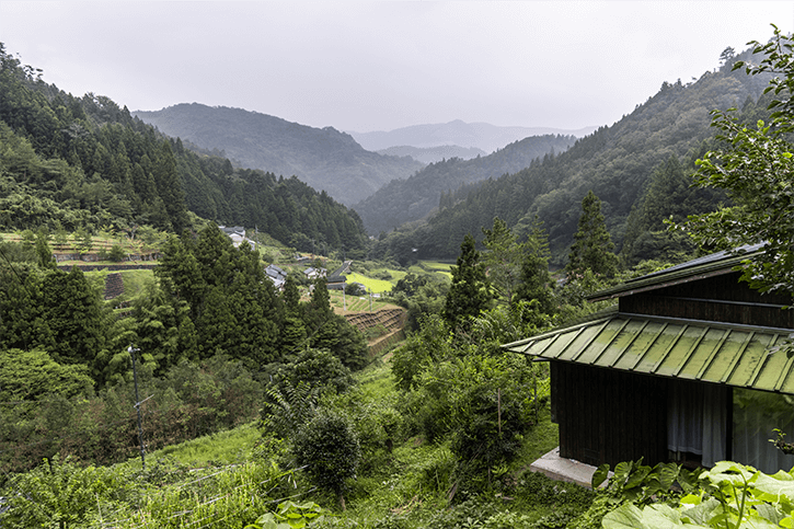 Rediscovering the art of washi papermaking in the heart of Shikoku ...