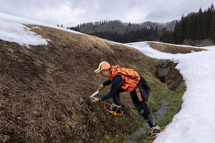 The Matagi of Akita – More than Bear Hunters | Japan Travel by NAVITIME ...