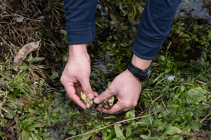 The Matagi of Akita – More than Bear Hunters | Japan Travel by NAVITIME ...