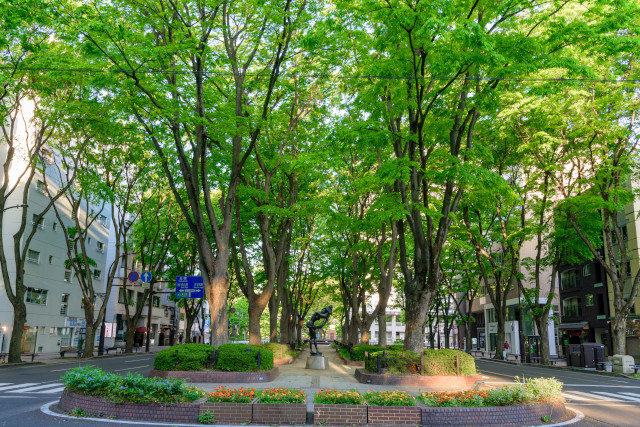 Sendai: The Beginning of a Journey to Discover the Charms of Tohoku ...