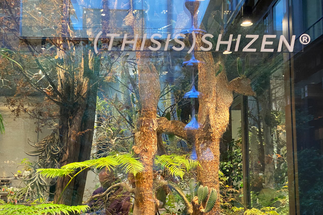 【京都・新風館】ネイチャーアートなカフェ「(THISIS)SHIZEN」でカラダが喜ぶひとときを | NAVITIME Travel