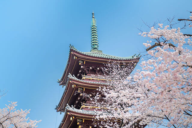 17 Best Things to Do in Ueno | Japan Travel by NAVITIME - Japan Travel ...