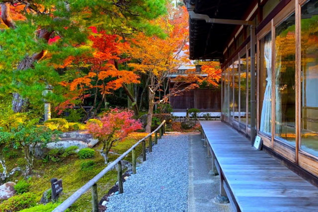 Things to Do in Nara 2025: Temples, Deer & Local Food Guide | Japan ...