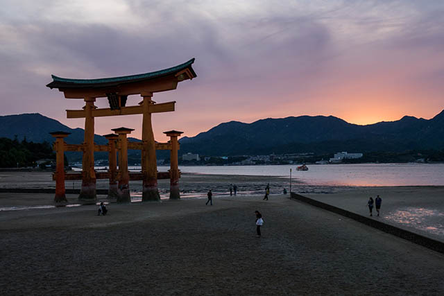 Miyajima by Night | Japan Travel by NAVITIME - Japan Travel Guides ...