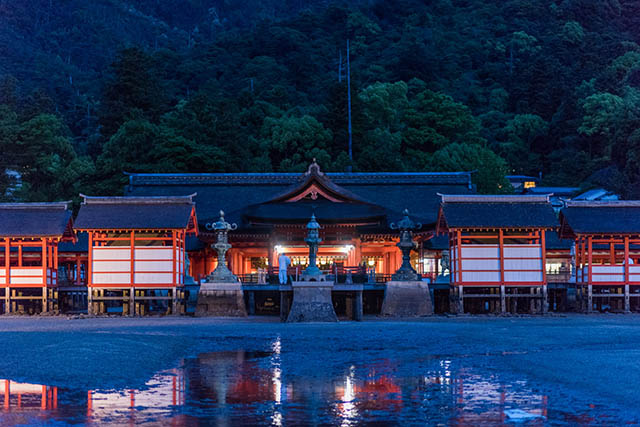 Miyajima by Night | Japan Travel by NAVITIME - Japan Travel Guides ...