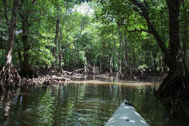 Day Trip to the Urauchi River | Japan Travel by NAVITIME - Japan Travel ...