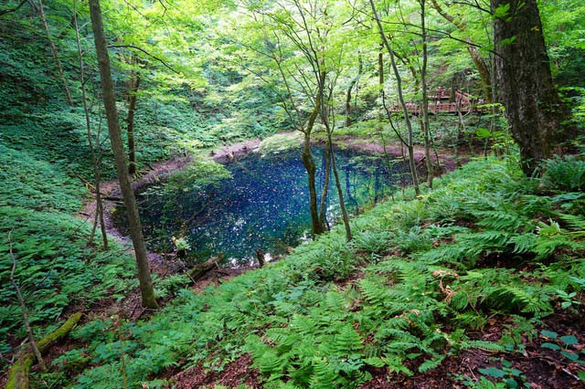 Discover Shirakami Sanchi with the JR East Pass (Tohoku Area) | Japan ...
