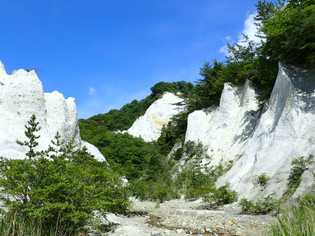 Discover Shirakami Sanchi with the JR East Pass (Tohoku Area) | Japan ...