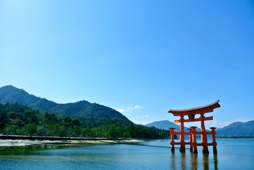 Ilenya Japan