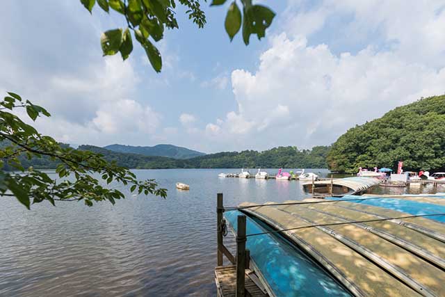 The Most Beautiful Natural Sights of Ito | Japan Travel by NAVITIME ...