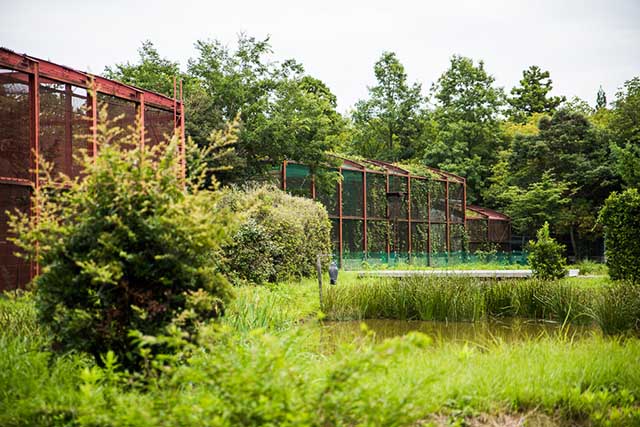 Toki Forest Bird Park | Japan Travel by NAVITIME - Japan Travel Guides ...