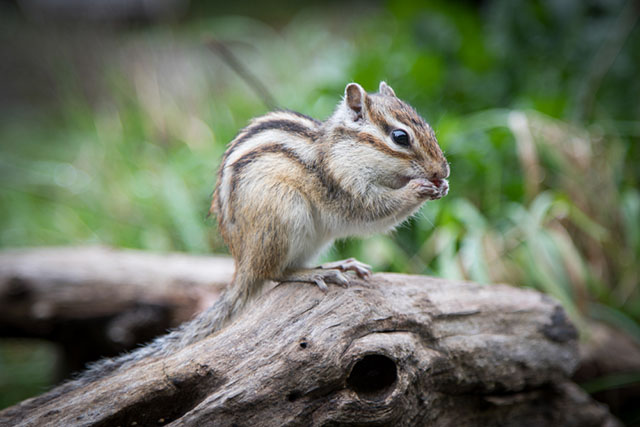 Where to Go in Abashiri | Japan Travel by NAVITIME - Japan Travel ...