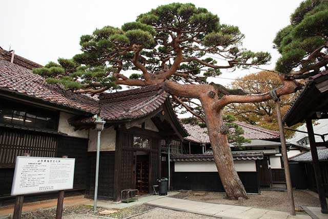 What to Do in Sakata City | Japan Travel by NAVITIME - Japan Travel ...