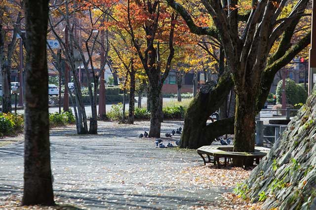 Sightseeing Day in Yamaguchi City | Japan Travel by NAVITIME - Japan ...