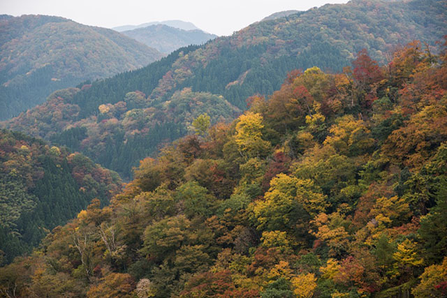 Sambutsu Temple at Mt. Mitoku | Japan Travel by NAVITIME - Japan Travel ...