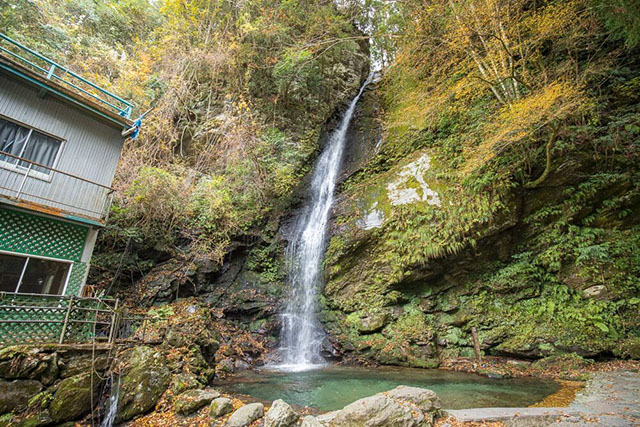 Iya Valley | Japan Travel by NAVITIME - Japan Travel Guides, Transit ...