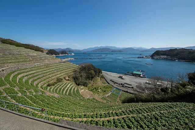 The Undiscovered Coastline of Western Shikoku | Japan Travel by ...