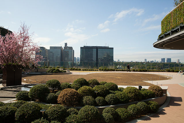 Tokyo Midtown Hibiya | Japan Travel by NAVITIME - Japan Travel Guides ...