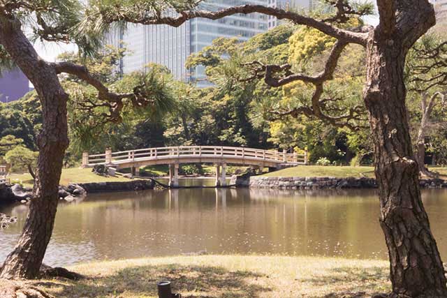 A Walk in the Hama Rikyu Gardens | Japan Travel by NAVITIME - Japan ...
