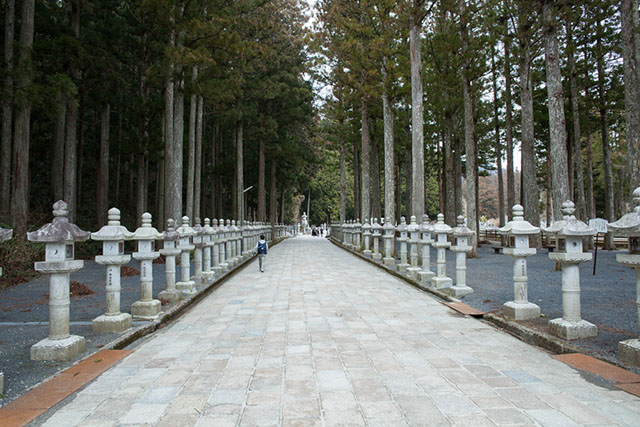 Okuno-in Cemetery | Japan Travel by NAVITIME - Japan Travel Guides ...