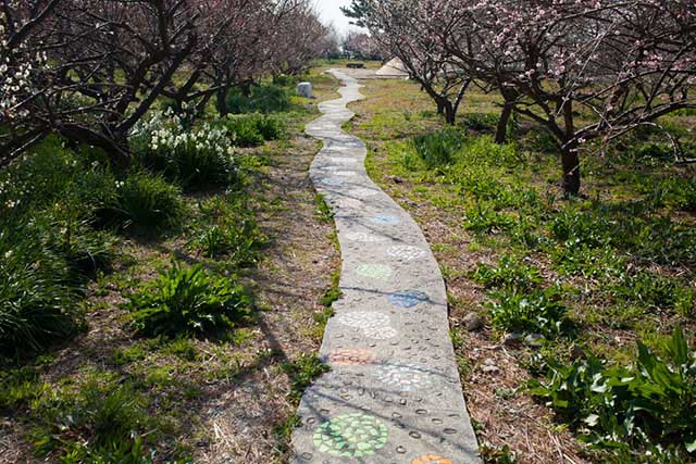Exploring Sakushima Island | Japan Travel by NAVITIME - Japan Travel ...