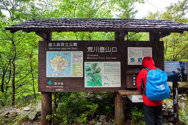 How to Hike in Yakushima | Japan Travel by NAVITIME - Japan Travel ...