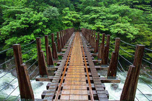 The Jomon sugi trail | Japan Travel by NAVITIME - Japan Travel Guides ...