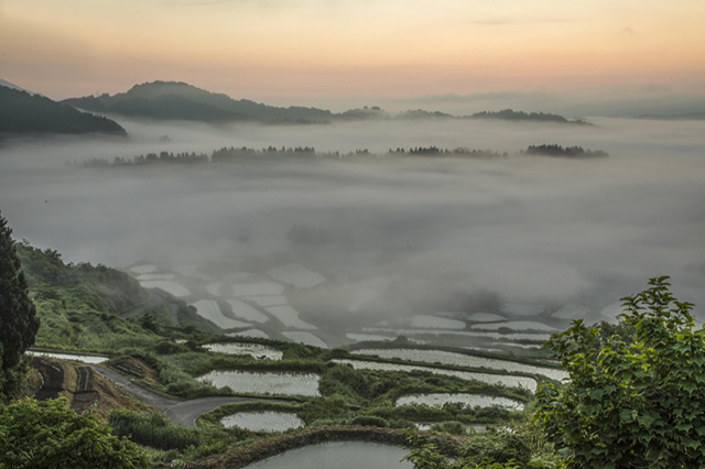 A Journey into Nature with the Echigo-Tsumari Art Field | Japan Travel ...