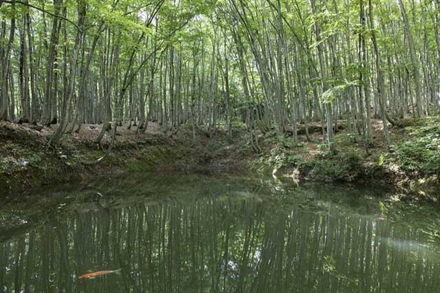 A Journey into Nature with the Echigo-Tsumari Art Field | Japan Travel ...
