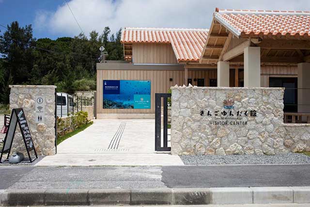 Sea Turtles and Okinawan Soba: A Day Trip to Aka Island | Japan Travel ...