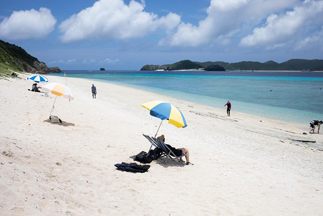 Sea Turtles and Okinawan Soba: A Day Trip to Aka Island | Japan Travel ...