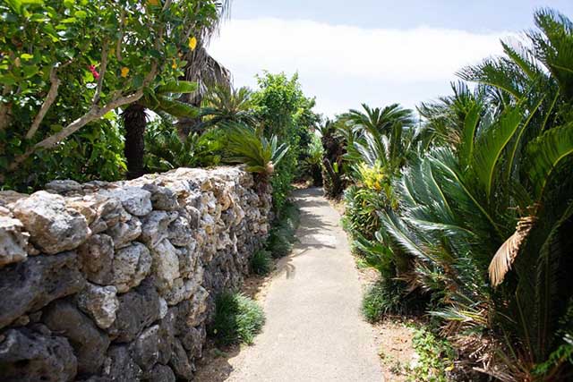 Yoron Island | Japan Travel by NAVITIME - Japan Travel Guides, Transit ...