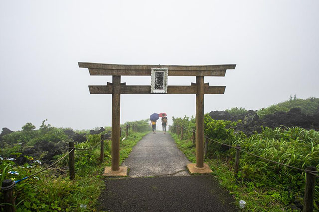 What to Do in Izu Oshima | Japan Travel by NAVITIME - Japan Travel ...