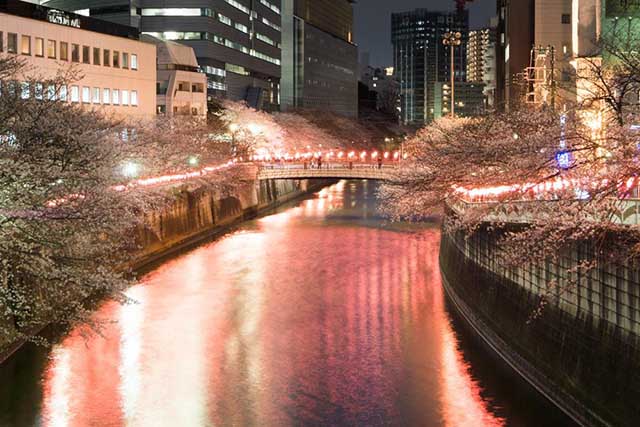 Tokyo Views at Night | Japan Travel by NAVITIME - Japan Travel Guides ...
