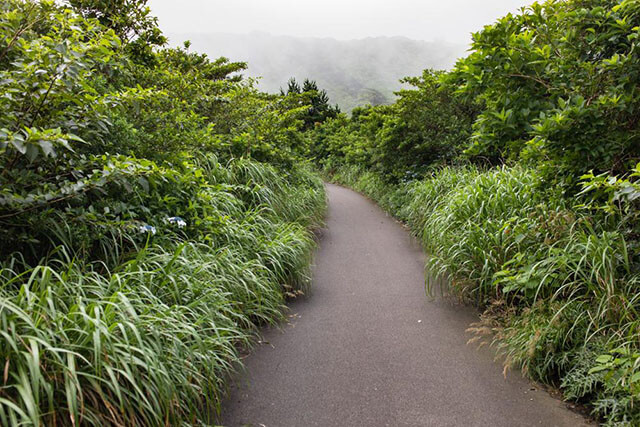 Mount Mihara of Izu Oshima | Japan Travel by NAVITIME - Japan Travel ...