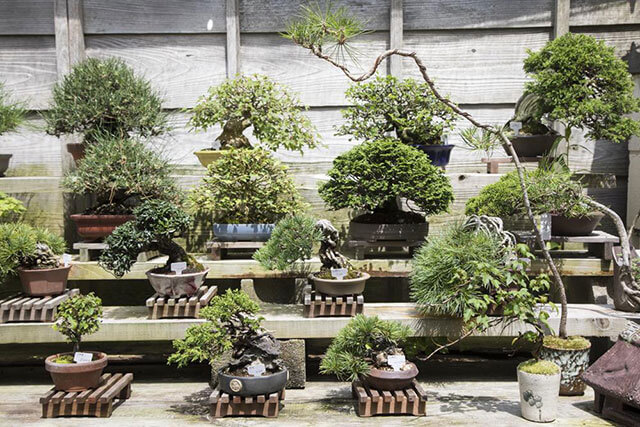 Rediscovering Lost Japan: Tsumesho Mikuni and Mikuni En | Japan Travel ...