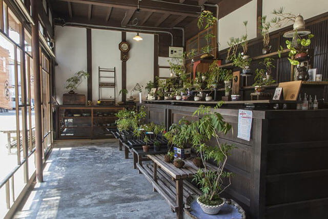 Getting around the port town, Mikuni Town | Japan Travel by NAVITIME ...