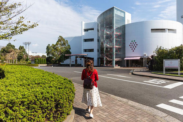 Tokyo Strawberry Park | Japan Travel by NAVITIME - Japan Travel Guides ...