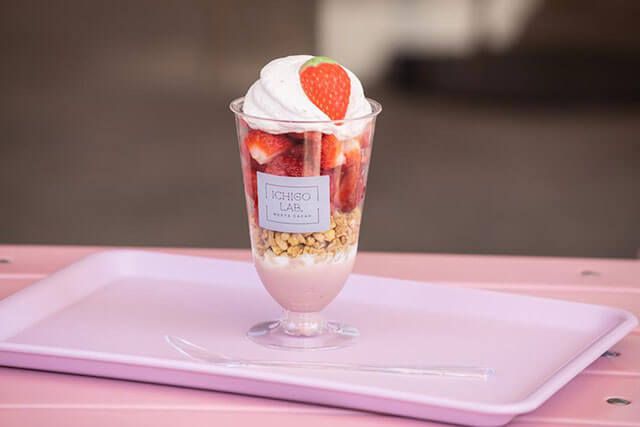 Tokyo Strawberry Park | Japan Travel by NAVITIME - Japan Travel Guides ...