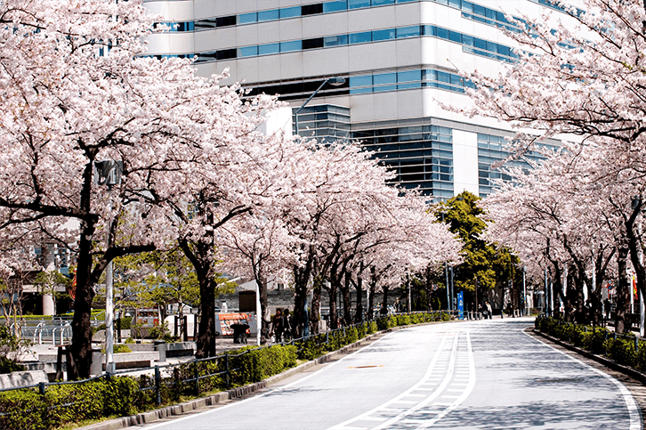 Exploring Minato Mirai and its surroundings in Yokohama | Japan Travel ...