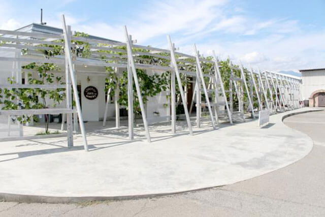 35 of the Best Things to Do in Yamanashi | Japan Travel by NAVITIME ...