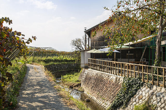Five Best Wineries in Yamanashi | Japan Travel by NAVITIME - Japan ...