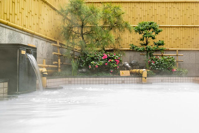 Tokyo Somei Onsen Sakura | Japan Travel by NAVITIME - Japan Travel ...