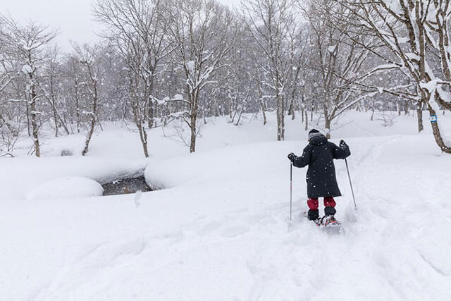 Snowshoeing in Myoko Kogen | Japan Travel by NAVITIME - Japan Travel ...