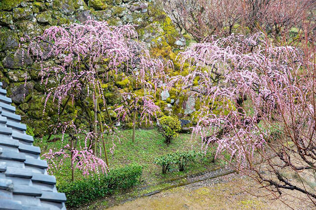 Kochi Castle：Tosa’s Original National Treasure | Japan Travel by ...