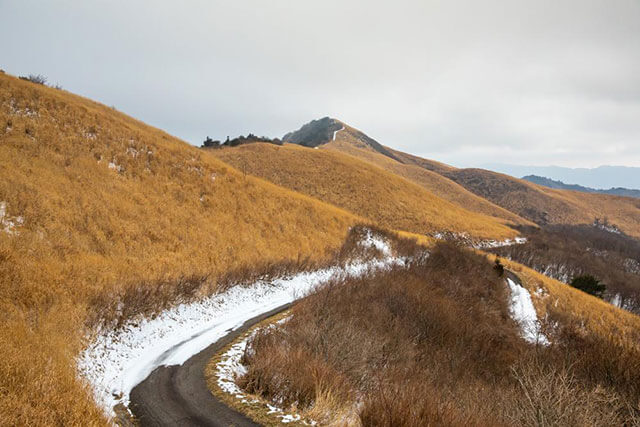 Driving Around Iya Valley | Japan Travel by NAVITIME - Japan Travel ...