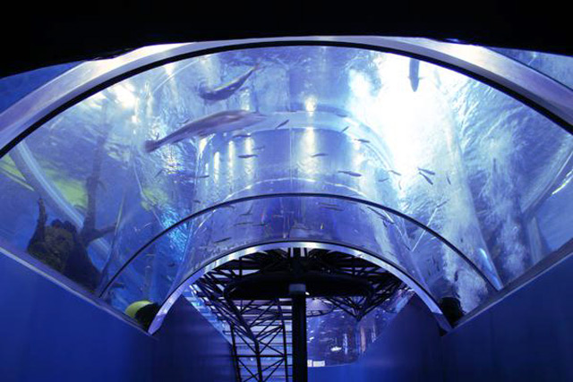 Best activities and spots around Mount Fuji | Japan Travel by NAVITIME ...