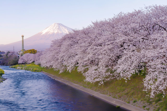 Best activities and spots around Mount Fuji | Japan Travel by NAVITIME ...