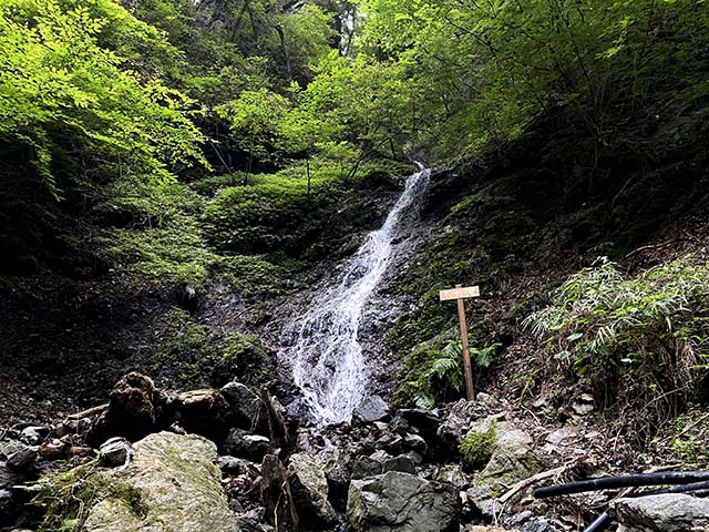Day Trip Hike to Mt. Buko in Saitama | Japan Travel by NAVITIME - Japan ...