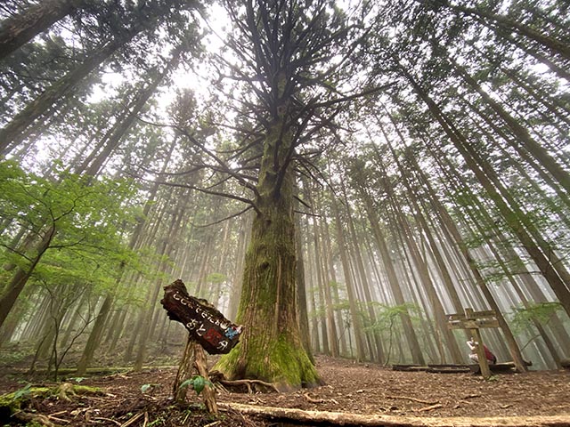 Day Trip Hike to Mt. Buko in Saitama | Japan Travel by NAVITIME - Japan ...